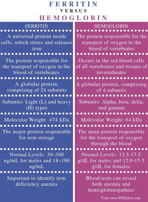 Difference Between Ferritin And Hemoglobin Pediaa