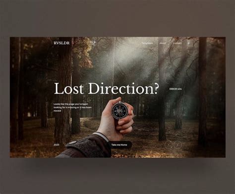 hamed mohammadi on linkedin 🇧🇪🇪🇺nahal be 🔰do you need a web site dm now 🌐 nahal be 📧…