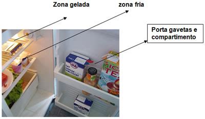 Organização Correta Da Geladeira Só Nutrição
