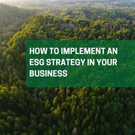 Esg Strategy Implementation Guide Leaving A Legacy