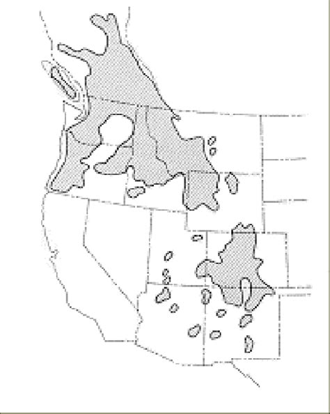 3 Geographic Distribution Of The Western Spruce Budworm In Western