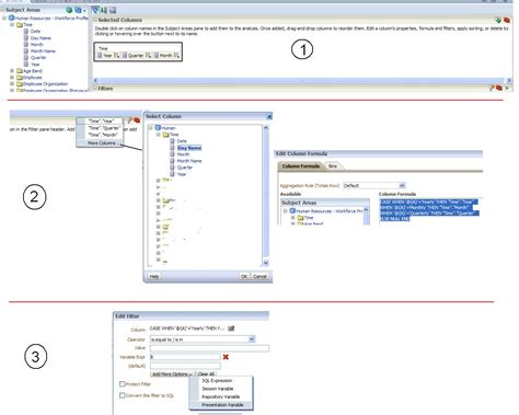 obiee dynamic columns with filters