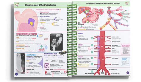 Usmle Step 1 Test Prep Medschoolbro