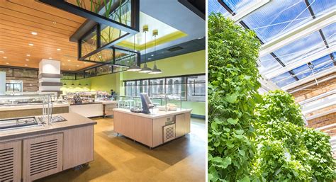 Cu Boulder Dining Goes Hyper Local With An Aeroponic Greenhouse Bakergroup