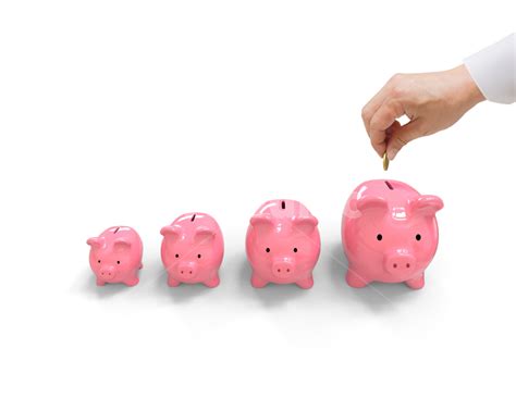 돼지저금통 금융 재테크 저축 손 사진이미지일러스트캘리그라피 Ezps작가