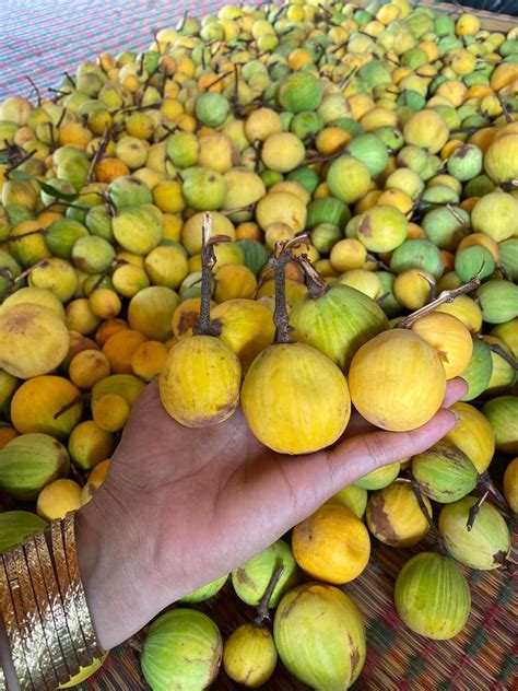 ផ្សារធម្មជាតិកសិករខ្មែរ Added A ផ្សារធម្មជាតិកសិករខ្មែរ