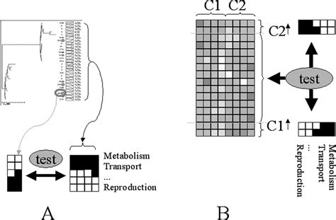 1 Two Step Procedure For The Functional Annotation Of Distinct