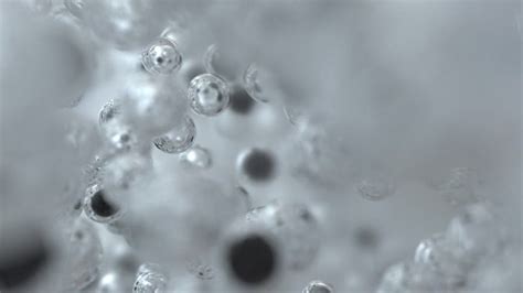 Gene Duplication Cell Division Extension Duplication By Pylik