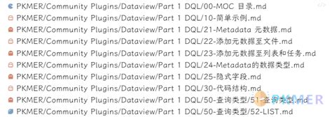 Pkmerdataview 提供的四种查询类型