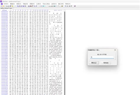 反编译工具的使用（pyinstxtractorpy工具） Csdn博客