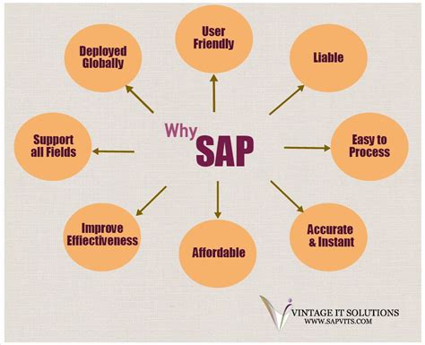 What Is Sap Why It Is Used At Jennifer Wilkins Blog
