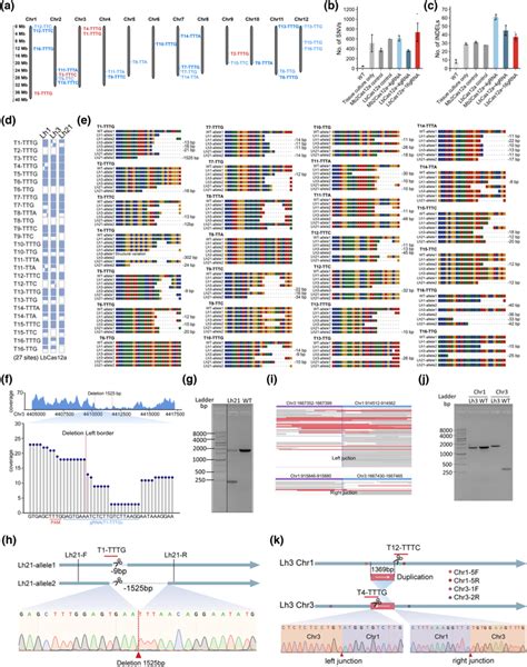 Whole‐genome Sequencing Wgs Based On‐ And Off‐target Analyses Of