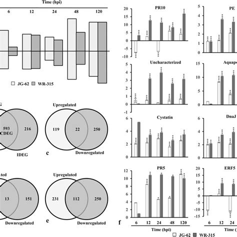 Gene Network Analysis Network Was Constructed Using Gene Expression Download Scientific