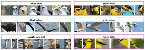 Examples Of Discovered Visual Textual Patterns By Our Fine Grained