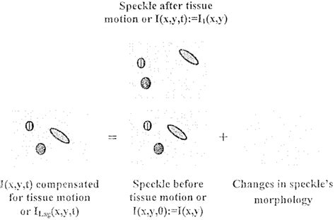 Two Dimensional Illustration Of How The Lagrangian Image Can Be Related Download Scientific