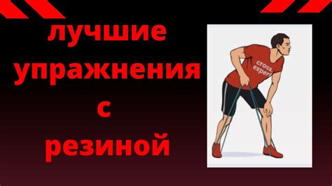 Лучшие упражнения с резиновыми петлями Youtube