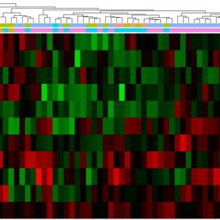 Hierarchical Clustering Using Protein Panel Levels Of Abundance