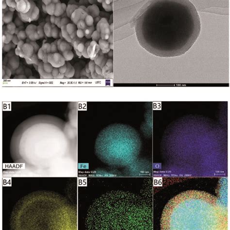 Sem And Tem Images A Scanning Tem Stem Image B1 Of Fe3o4sio2