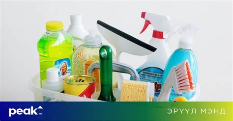 Судалгаа Цэвэрлэгээний бодис мартах өвчин тусах эрсдлийг 6 дахин нэмэгдүүлдэг нь батлагдлаа