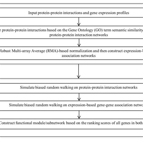 The Key Steps In The Functional Modulesub Network Identification