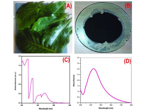 Uv Vis Spectrometric Analysis A T Cattappa Leaf B Synthesized Download Scientific Diagram