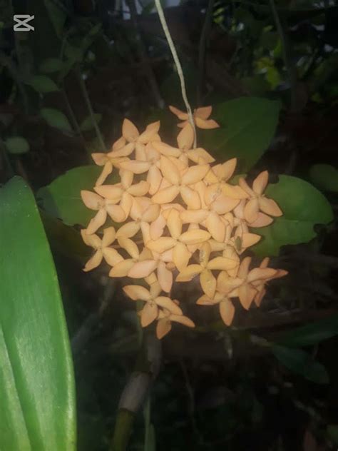 අහක බලන් යන්න එපා Like එකක් දාගන යන්න Youtube