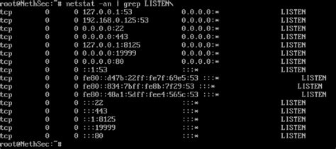 Cannot Log Into Nethsec Support Nethserver Community