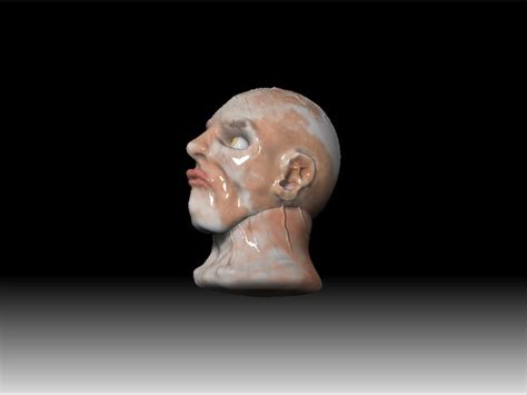 My First Ever Project Android Head ZBrushCentral