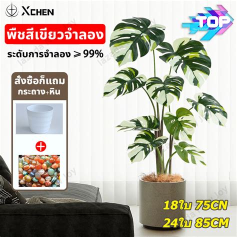 ราคาถูกที่สุด Xuanyuan ต้นไม้มงคลปลอม ฟรีกระถางดอกไม้ต้นไม้ ขาตั้งไม้ หินตกแต่งฟรี 70 65 Cm