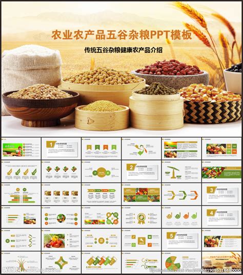 五谷杂粮农产品介绍宣传PPT 自然 农业 PPT 多媒体图库 昵图网