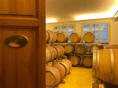 The Ageing Room Tokyo Front Line