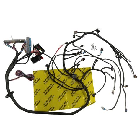 Custom Ls Stand Alone Wiring Harness With Multec Ev1 Ev6 For Sale Nathan Wei Performance