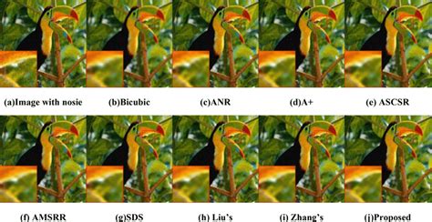 Visual Comparison Of Noise Image “butterfly” 3× Download Scientific Diagram
