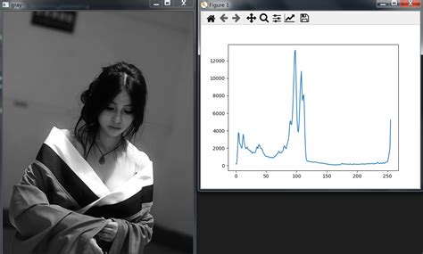 Python OpenCV 图像处理之图像直方图取经之旅第 天丨百变AI秀 云社区 华为云