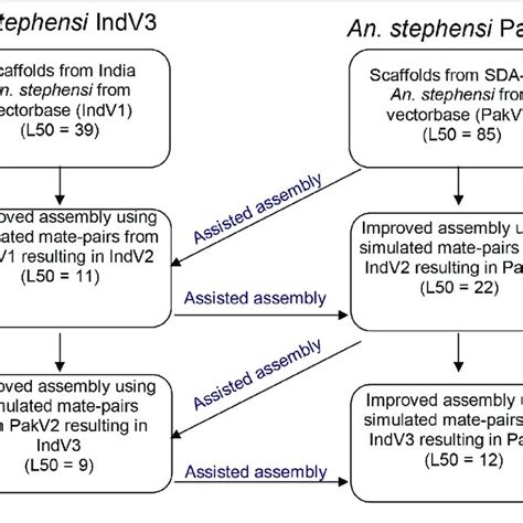 Schematic Diagram Showing The Iterative Approach Followed To Improve Download Scientific