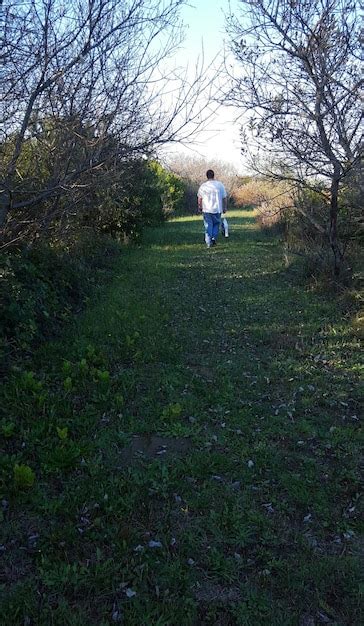 Premium Photo Rear View Of Man Walking On Pathway
