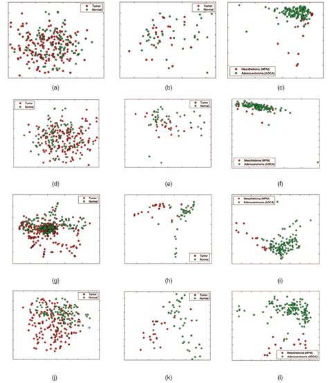 embedding plots were obtained by plotting dominant eigenvectors g 1 ð x