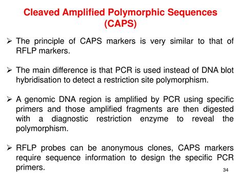 Ppt Marker Assisted Selection Mas Powerpoint Presentation Free Download Id 1178474