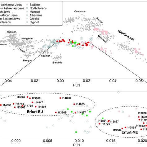 Principal Components Analysis Download Scientific Diagram