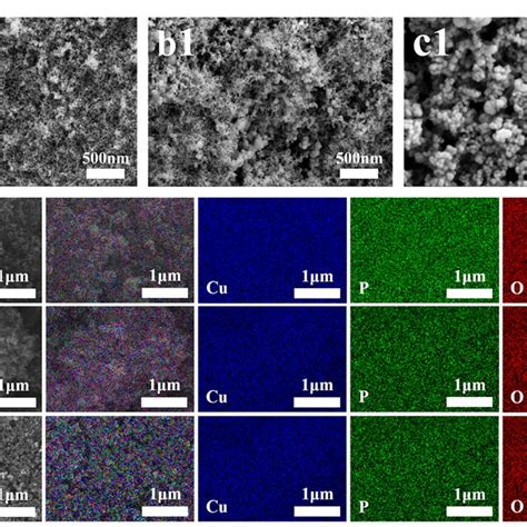 Schematic Setup Of Electrocatalytic Flow Cell And Gas Diffusion
