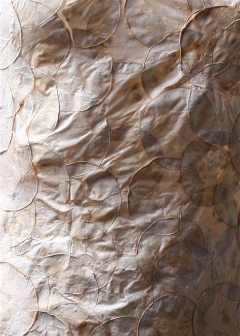 Aniela Hoitink Creates Dress From Mushroom Mycelium