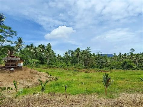 Philippines Ocean View Farms And Land For Sale List And Find The Best