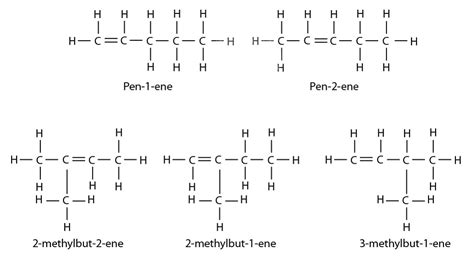 Draw Chain Isomers Of Pentane At Joseph Nance Blog