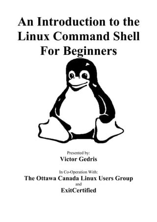 Shell Intro PDF