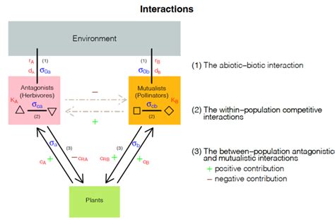 The Framework Of Three Interactions In The Ecological Network The Download Scientific Diagram