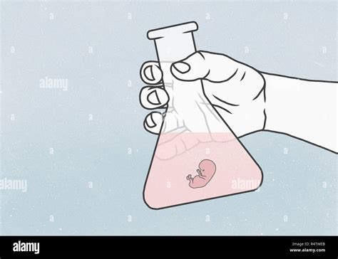 Conical Flask Human Reproduction At Sandra Slavin Blog