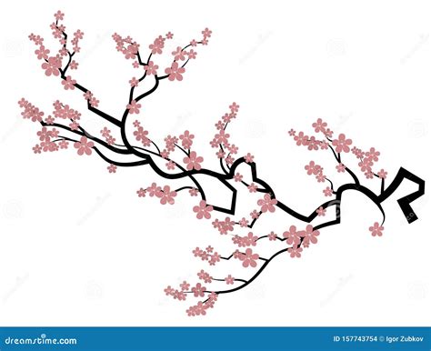 Cherry Blossom Branch How To Draw At Clifford Mitchell Blog