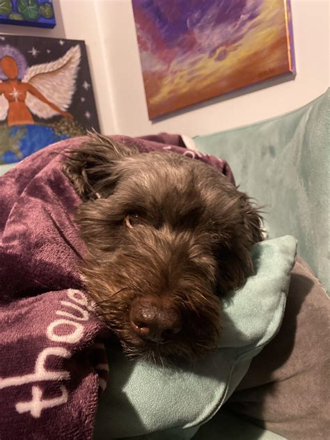 This Is Lucy She Was Born Deaf But Doesnt Stop Her From Living The