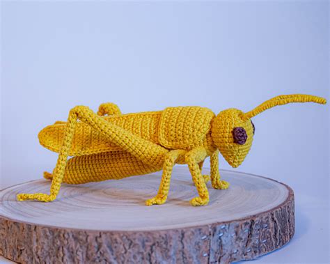 Ravelry Grasshopper Pattern By Kate Gerrits