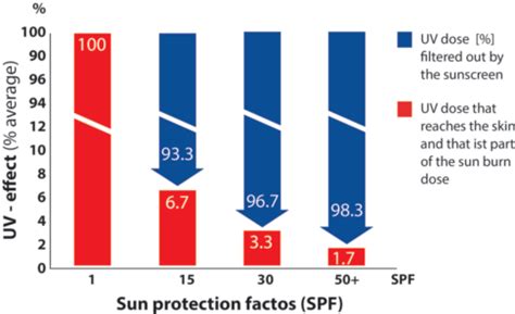 Relationship Between Sun Protection Factor Spf And Ultraviolet Uv Download Scientific